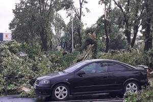 Video Super Furtuna a facut dezastru la Turnu Magurele. In 10 minute s ...